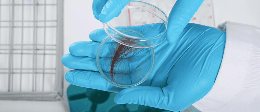 Guide to Hair Follicle Drug Tests | GoodHire